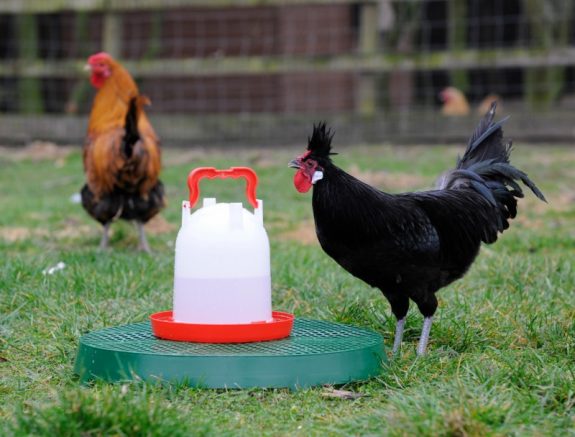 Specialist Working Dog Food: Fuel Your Gun Dog's Performance