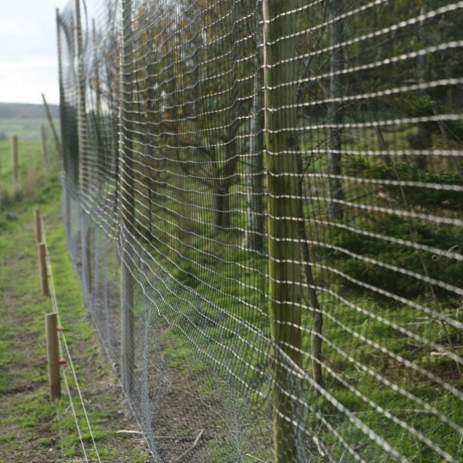 How to build a pheasant release pen | Gamekeeping | Collins Nets
