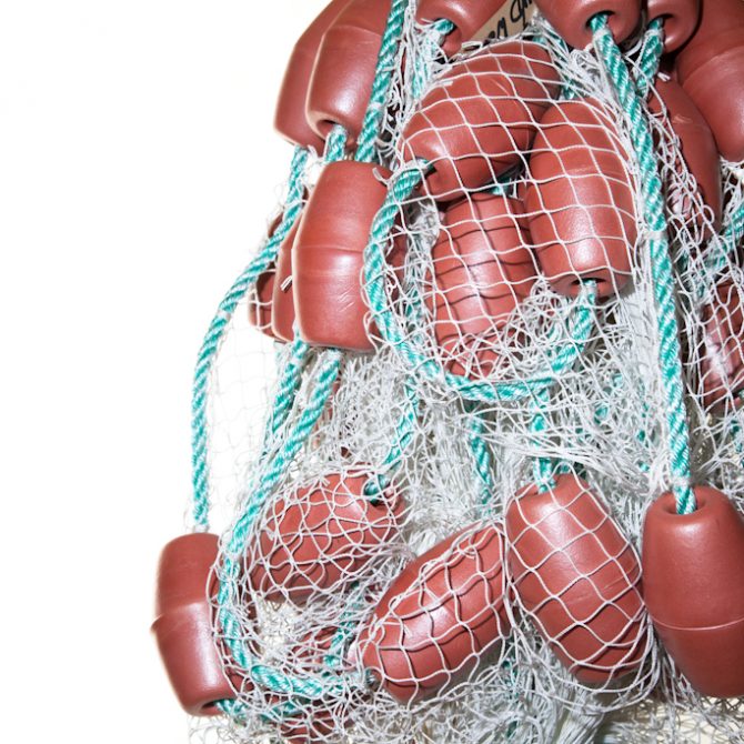 Netting for Game Rearing, Poultry, Fisheries & Golf | Collins Nets