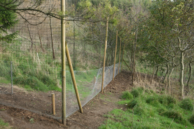 Heavy Galvanised Wire Netting 19mm | Wire Fencing | Collins Nets