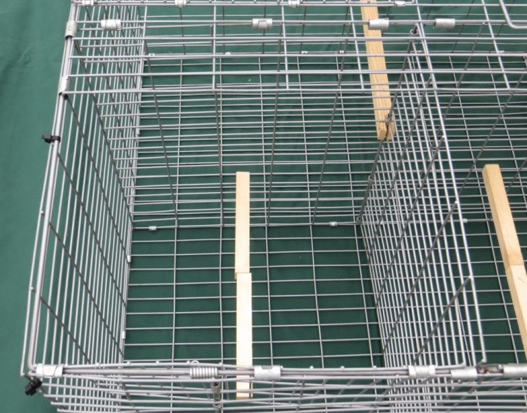 Magpie Larsen Trap | Live Catch Vermin Control | Collins Nets