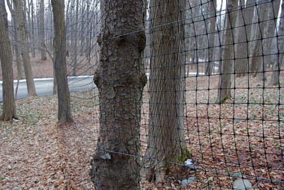 Jumbo Release Netting 5ft | Deer Fence Pheasant Pens