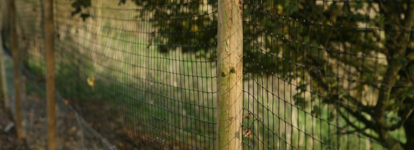 Building a Release Pen | Jumbo Netting | Galvanised Wire