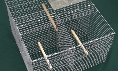 Live Catch Traps | In Stock | Magpie Larsen | Fox Trap | Collins Nets