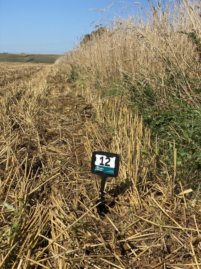 Shooting Peg Numbers 1-12 | Gun Stand Cards | Collins Nets
