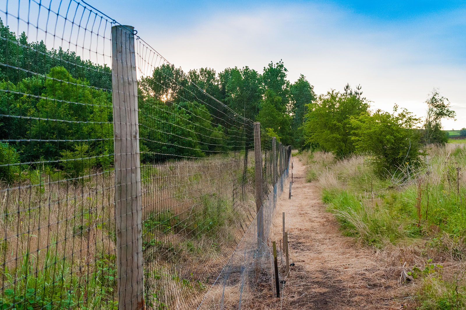 Gamekeeping Fencing Solutions: Options and How to Choose | Collins Nets