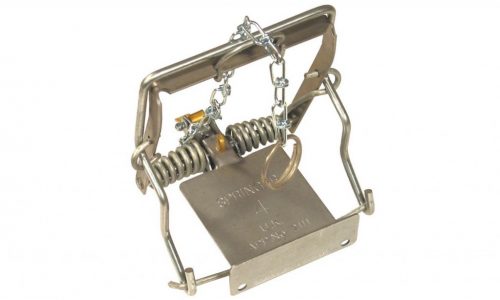 STAO Springer Mk4 Vermin Trap | Collins Nets