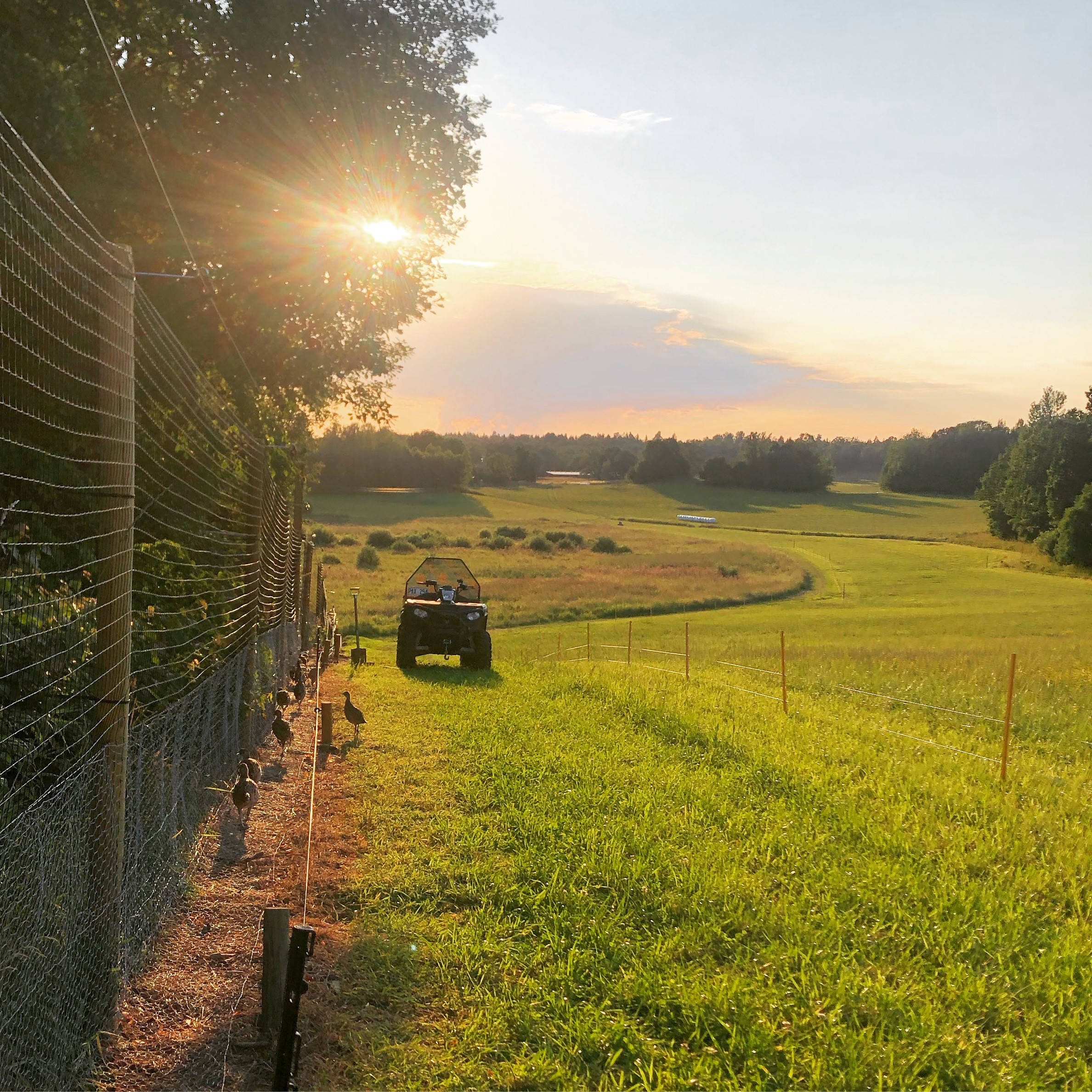 How to build a pheasant release pen | Gamekeeping | Collins Nets