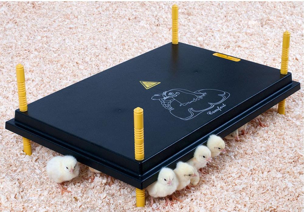 Comfort Chick Heating Plate | Incubation Poultry Chickens