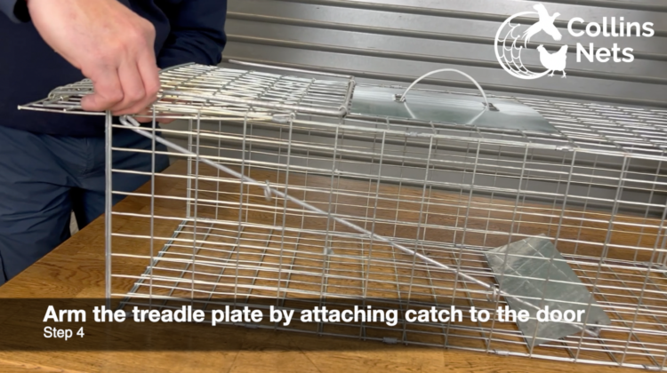 How to Set Up a Live Catch Cat Trap | Collins Nets