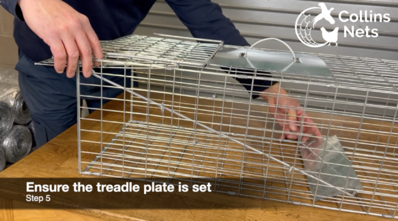 How to Set Up a Live Catch Cat Trap | Collins Nets