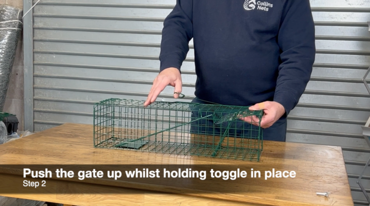 How to Set Up a Live Catch Single Mink Trap | Collins Nets