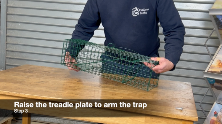 How to Set Up a Live Catch Single Mink Trap | Collins Nets