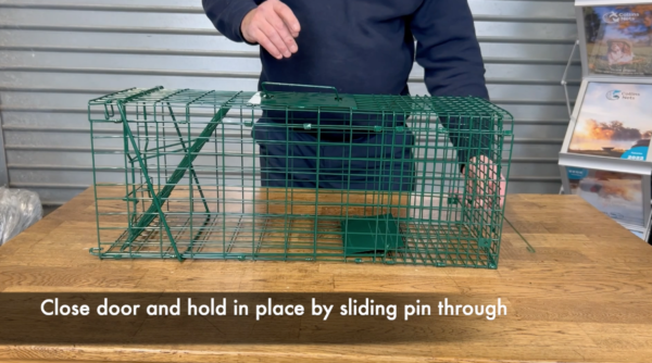 How to Set Up a Live Catch Rabbit Trap | Collins Nets