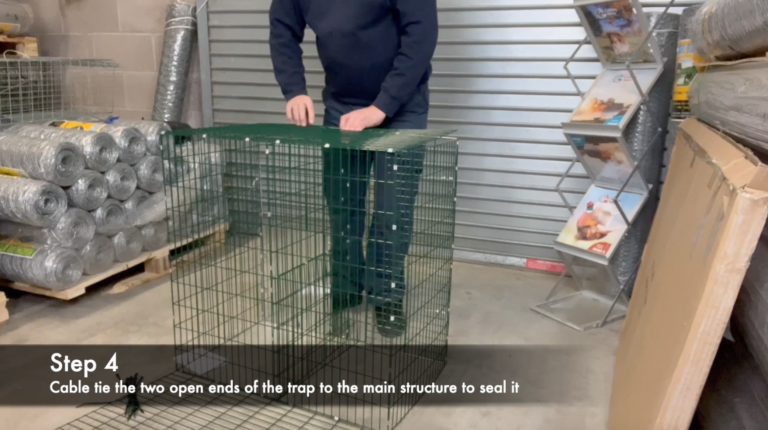 How to Set Up a Magpie Larsen Trap | Collins Nets