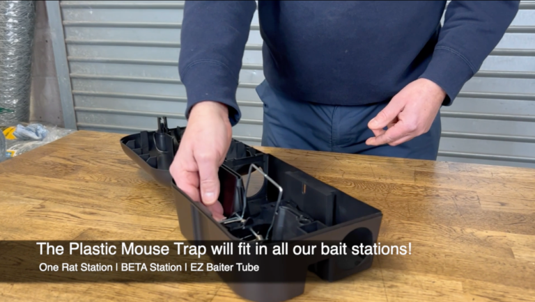 How to Set Up a Plastic Mouse Trap | Collins Nets