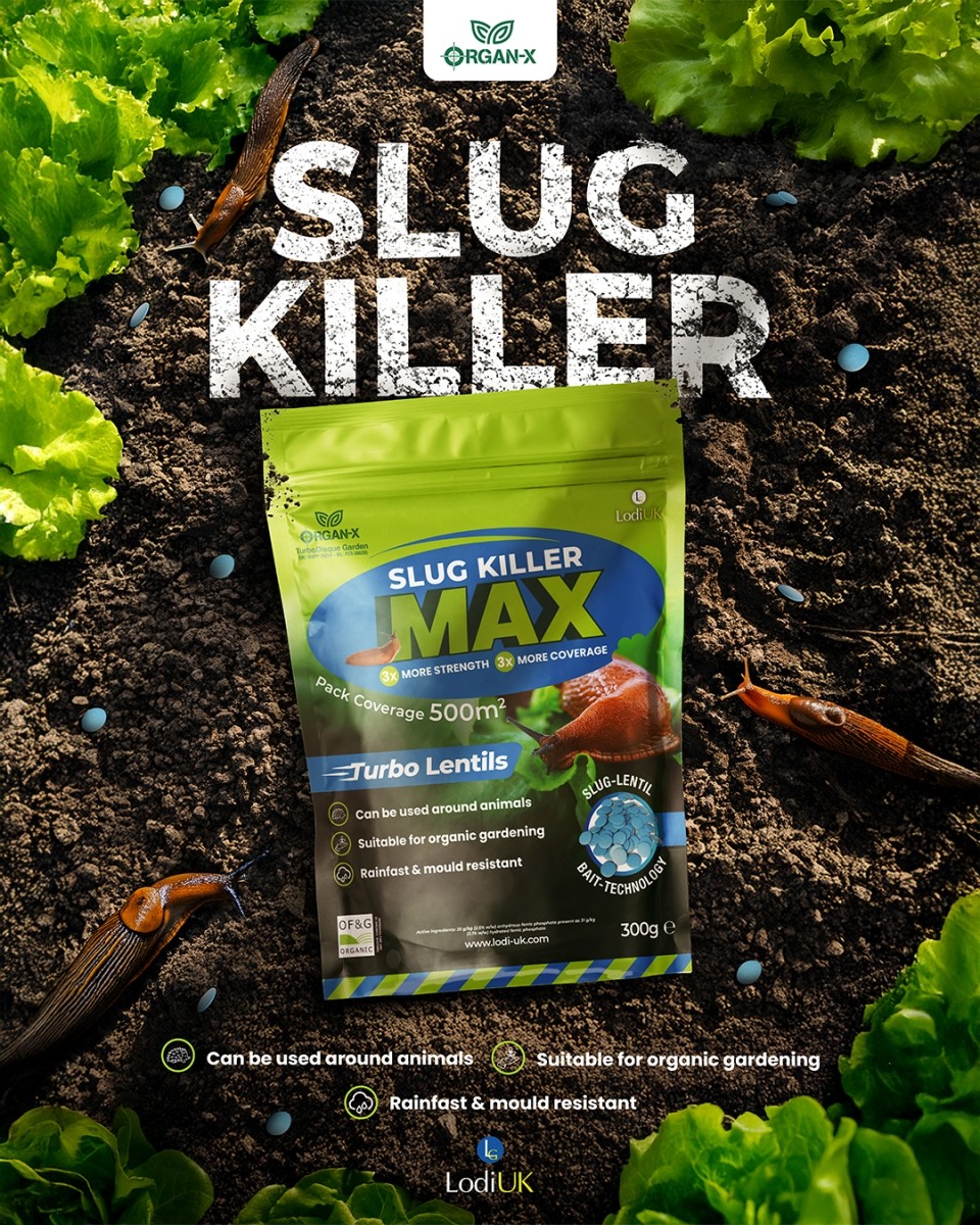 Organ-X Slug Killer Turbo Lentils 300g Pouch | Collins Nets
